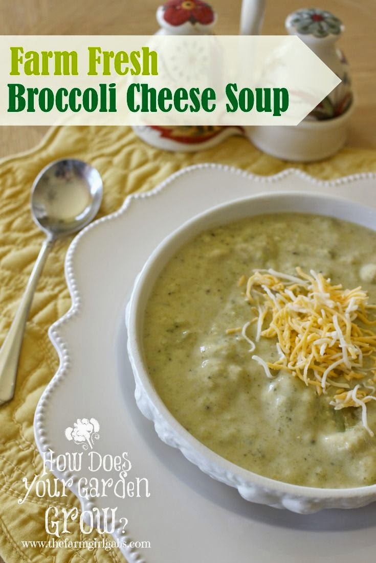 15 Soups for Autumn | Confessions of a Stay-At-Home Mom