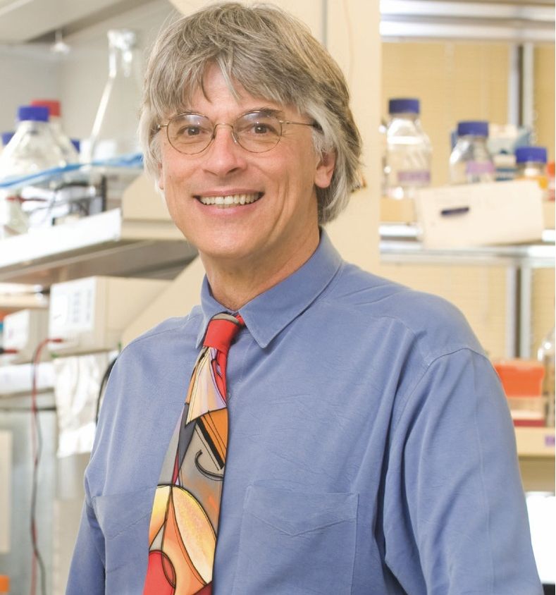 SMRT Sequencing Offers First Look at Fragile X Syndrome Repeat ...