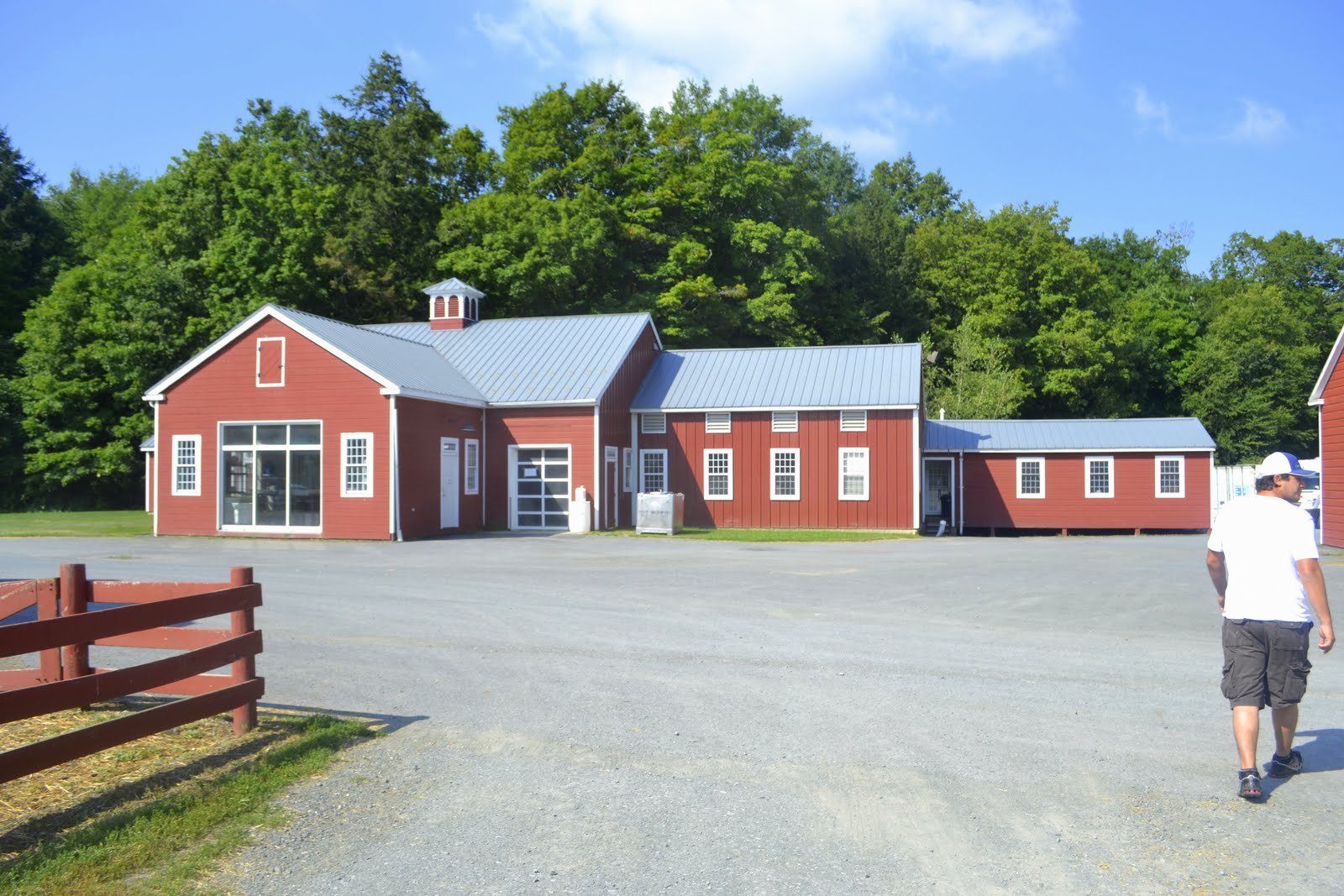 Little Ladies and Lambs: Old Chatham.....Dream farm visit