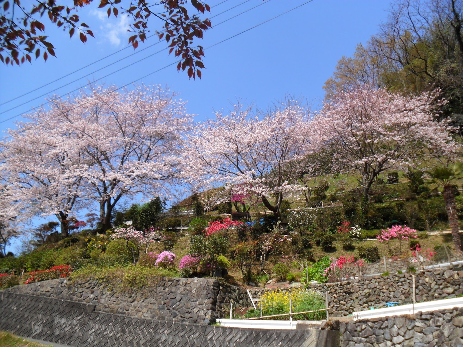 Western Mountains Senior College: Down Home Maine Presentation ...