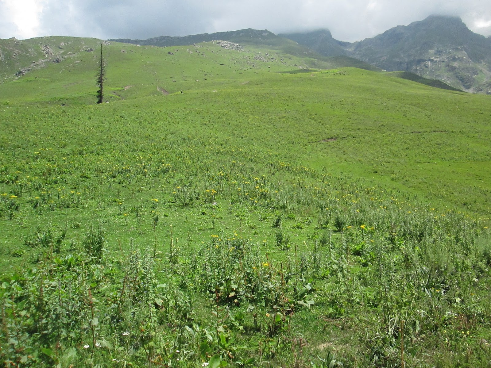 desan valley: desan valley