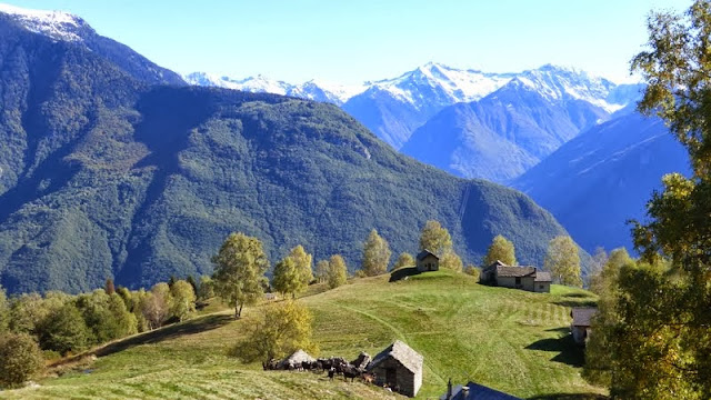 Pfannenstiel Wanderblog: Zur Alpe di Roscera (TI), der Abbruchstelle ...