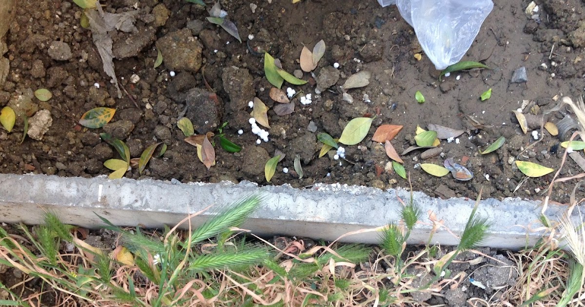 Ecology Magazine: The white death Soil: Salinisation