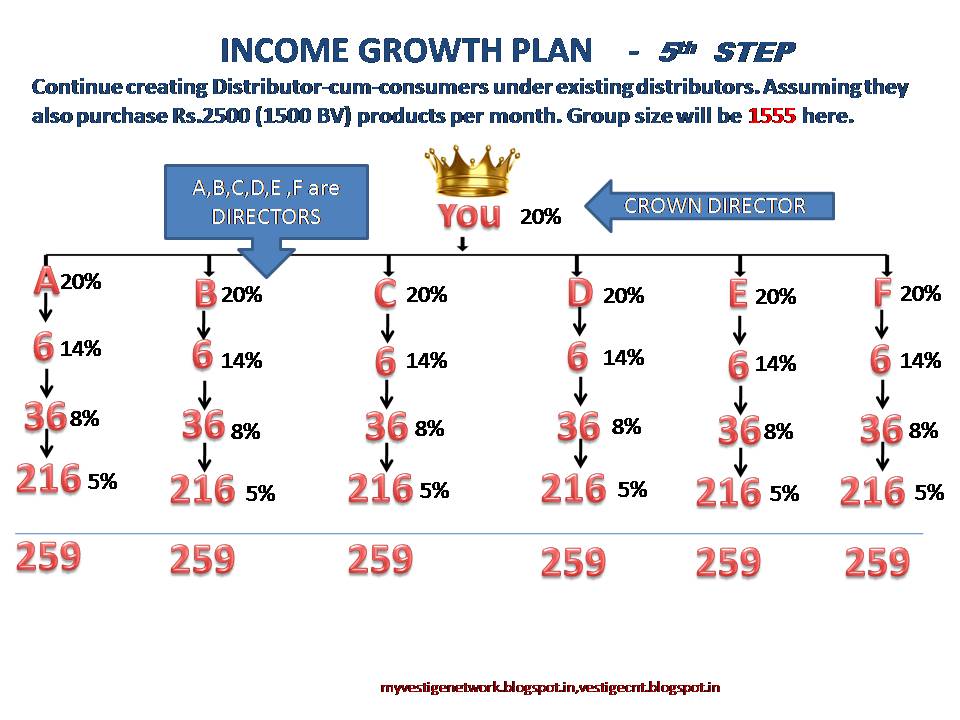 Vestige Digital Network: INCOME GROWTH PLAN