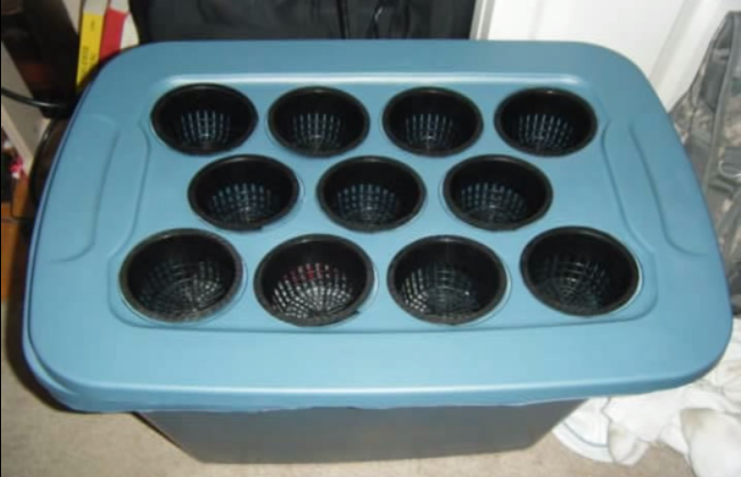 Hydroponic Passion: DIY Deep Water Culture DWC System