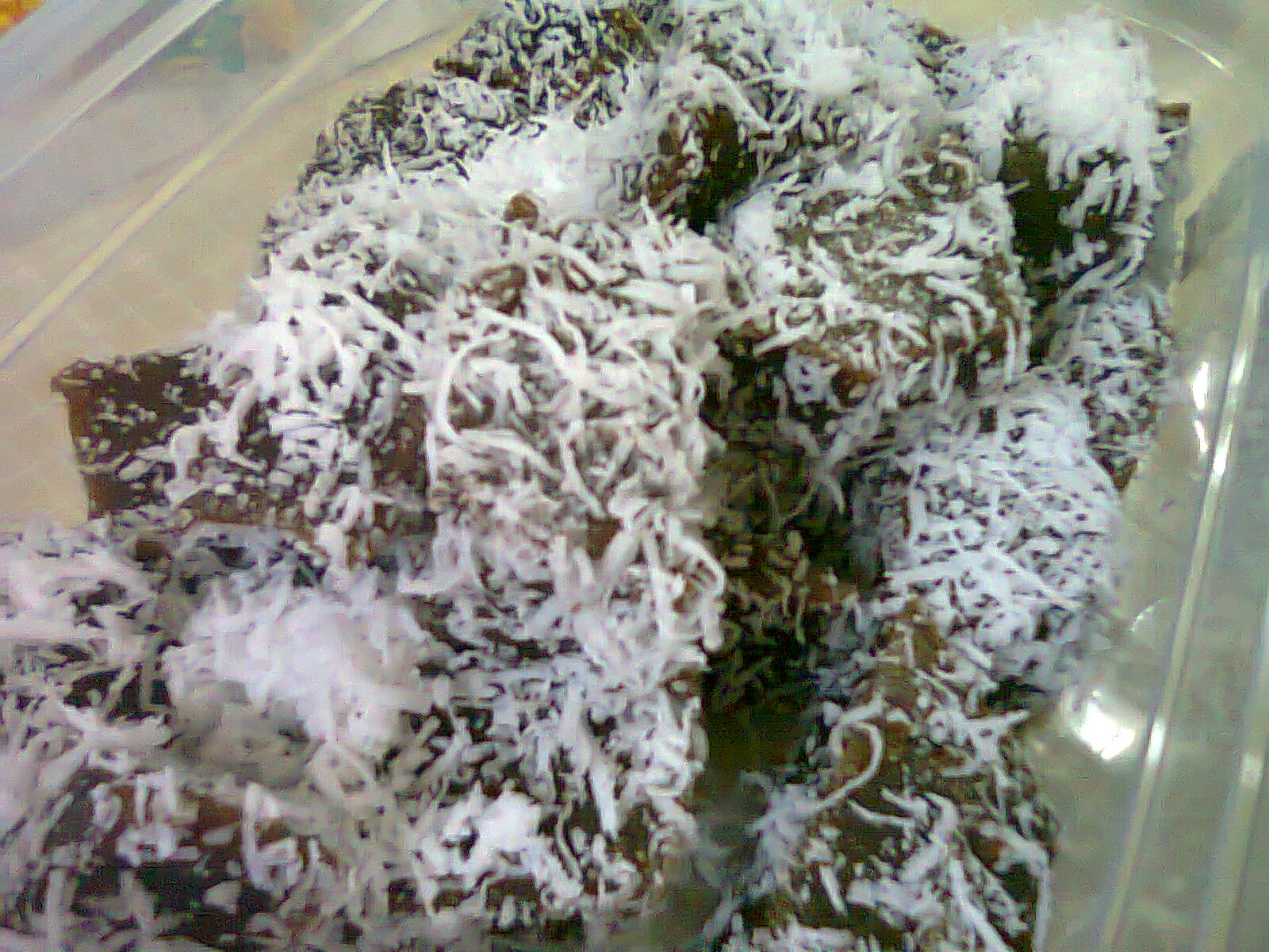 i can bake too.....: kuih kesui