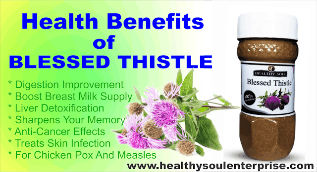 Fantastic Health Benefits Of Blessed Thistle - Organic Foods Ghana