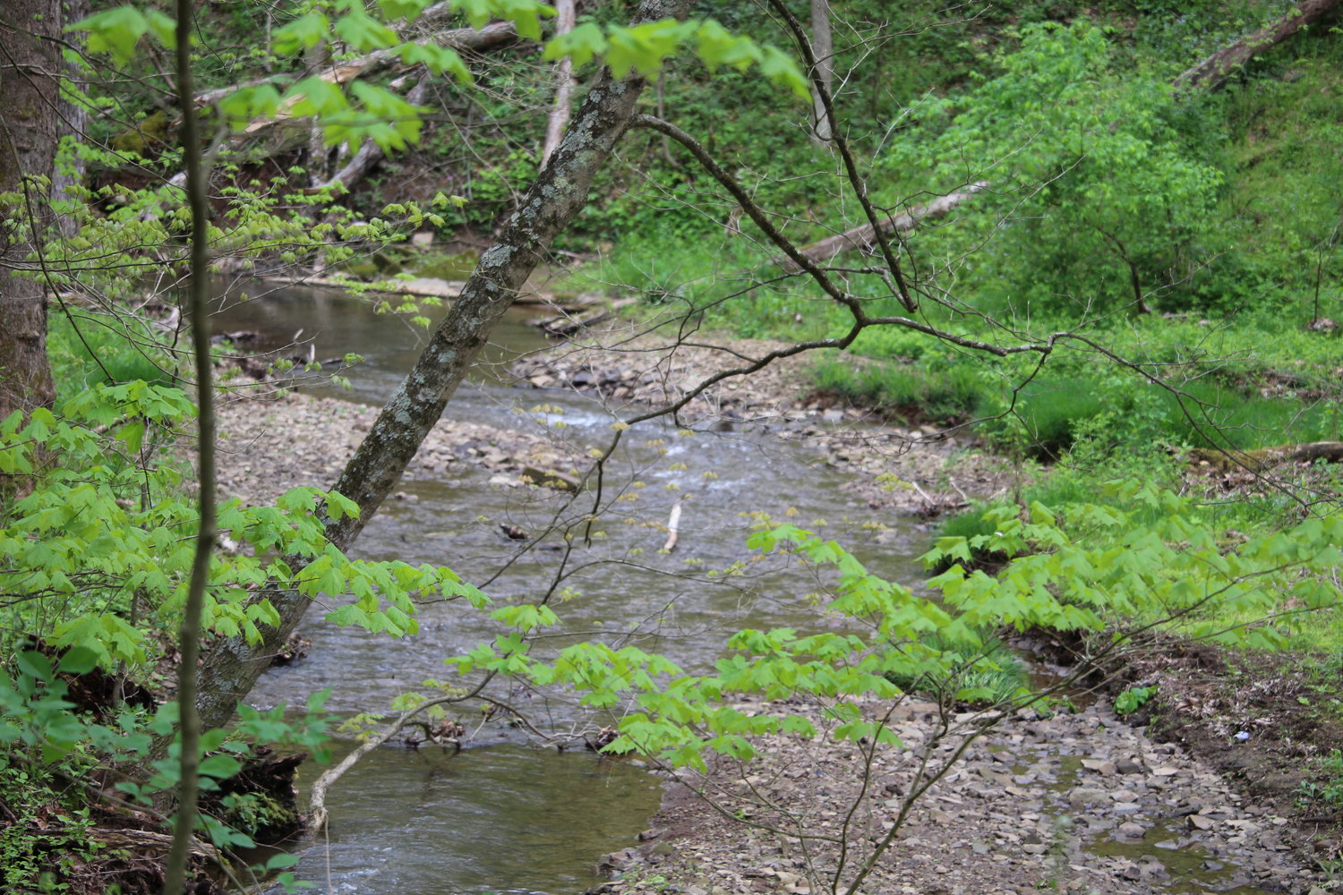PA Environment Digest Blog: Consol, DEP, Center For Coalfield Justice ...