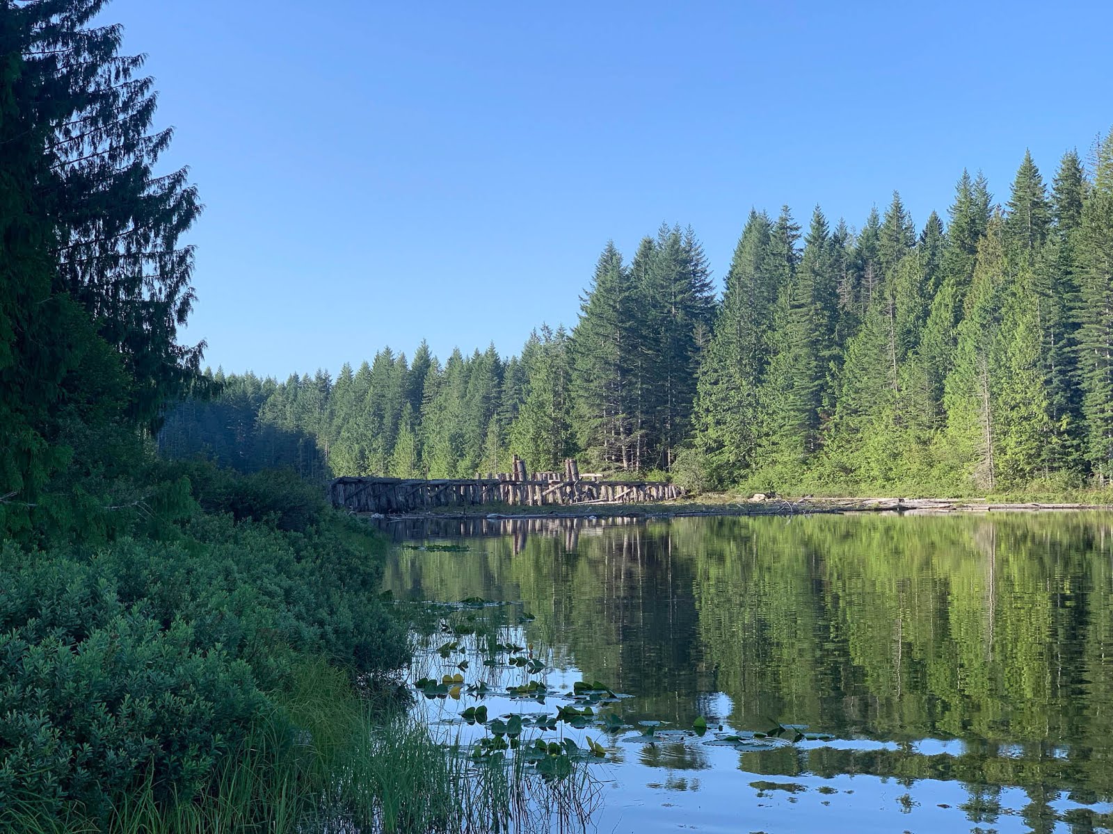 Sayward Forest Canoe Route Vancouver Island Canada - First Church of ...