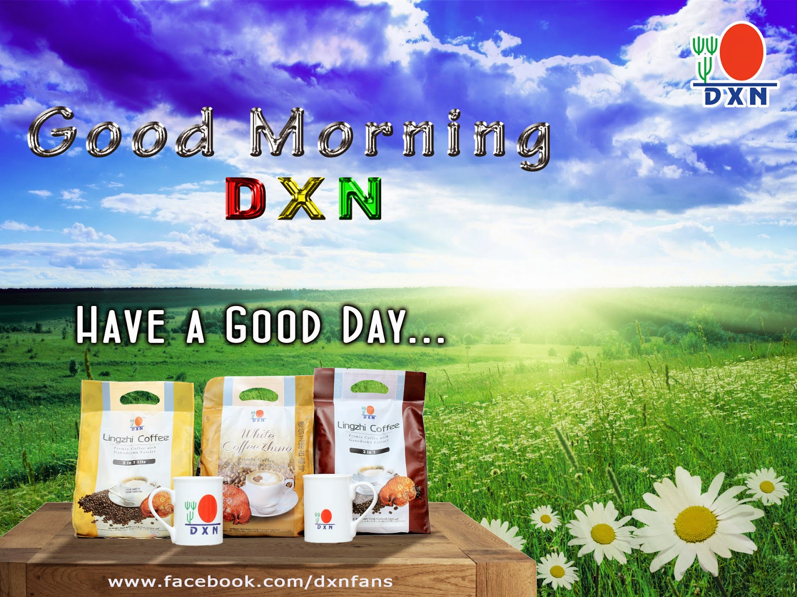 Welcome to the DXN Fans Blog