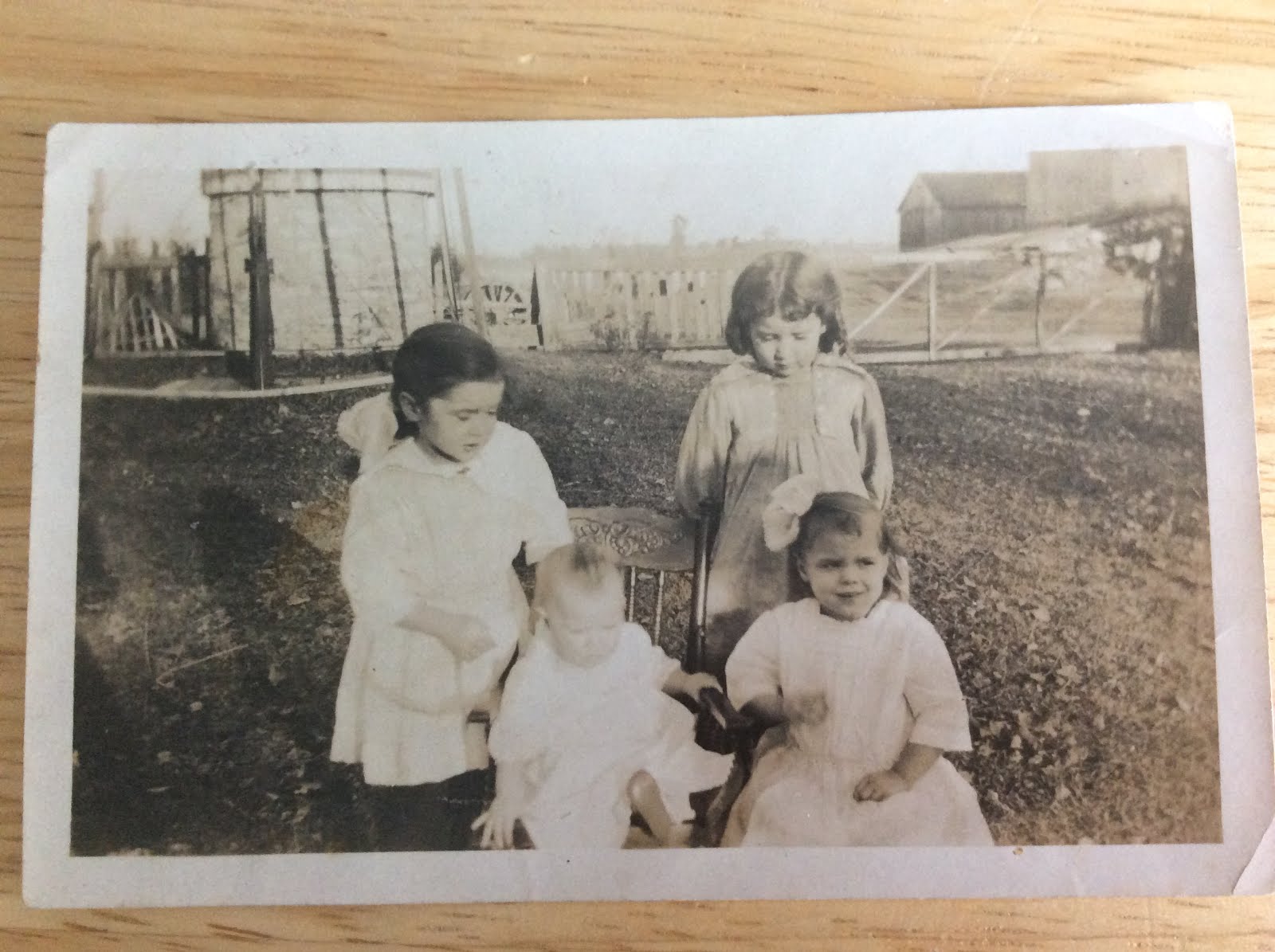 Olive Tree Genealogy Blog: Mary Facey Elgie Photo Album p 14