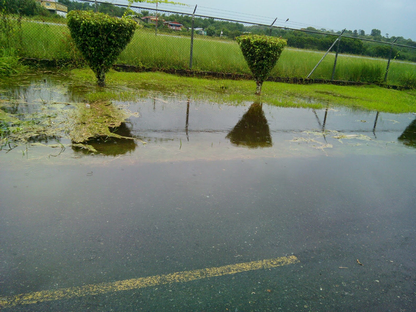 Thousands serve where the need is greater... this is our story