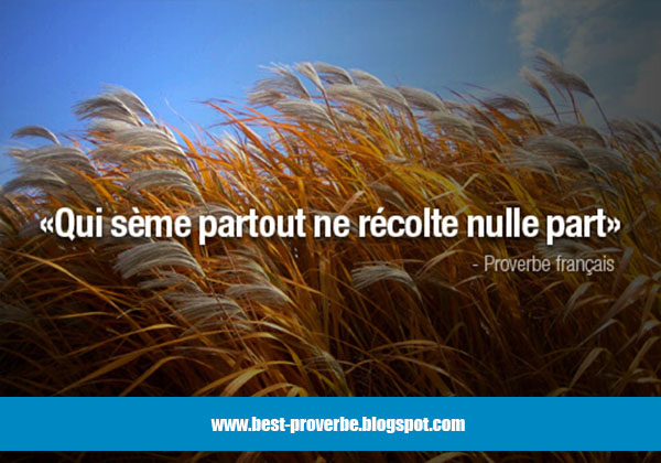 Les Proverbes Les Plus Connus En Francais 55+