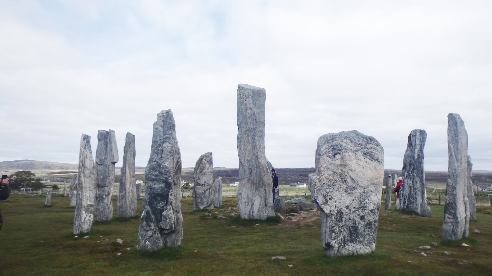 Log of Robinetta: Callanish