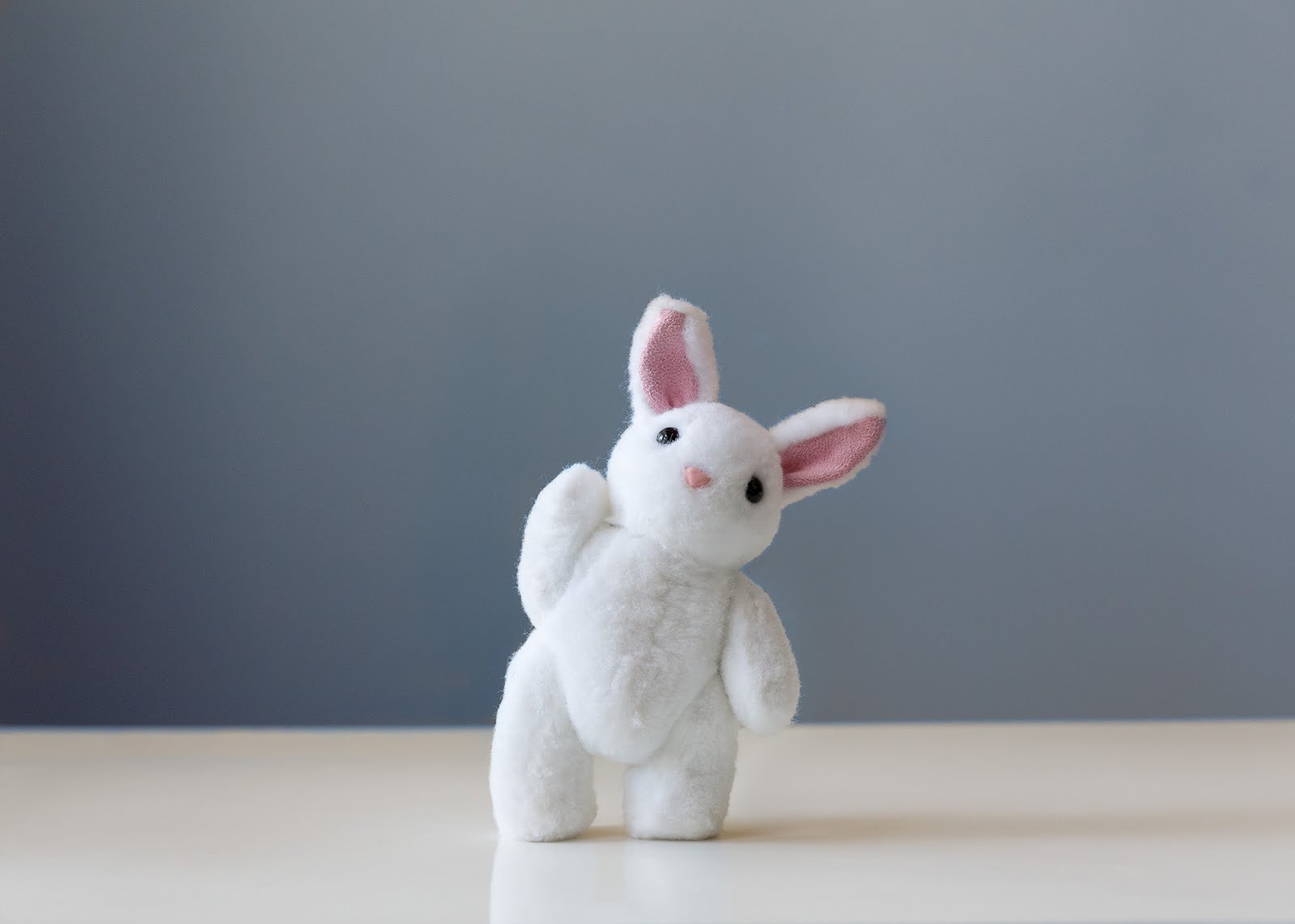 Stretch - Mia Rabbit