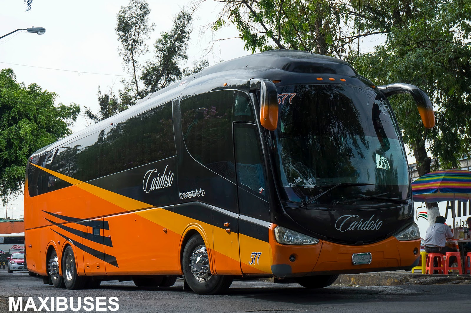 MAXIBUSES: AUTOBUSES TURÍSTICOS CARDOSO (TURISMO)