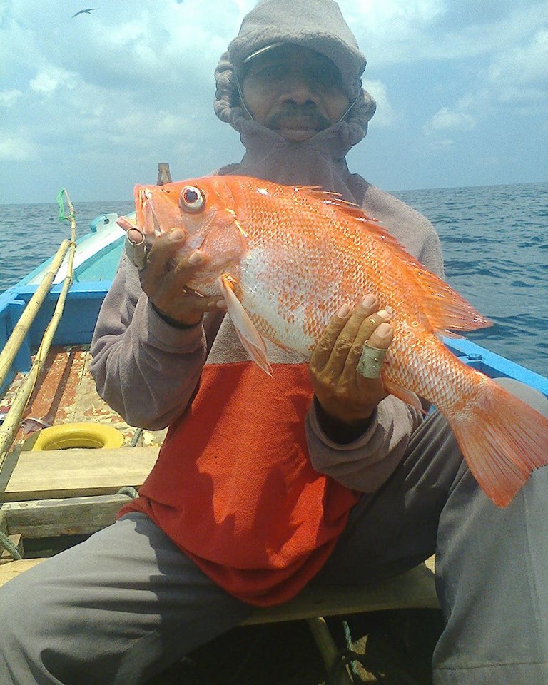Fishing Tour Jepara : Ikan Kakap Merah Spot Kapal Tongkang