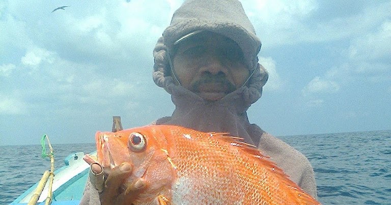 Fishing Tour Jepara : Ikan Kakap Merah Spot Kapal Tongkang