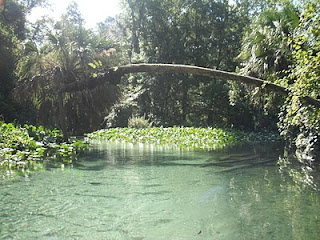 Our Year Outdoors: Trip 46: Rock Springs Run