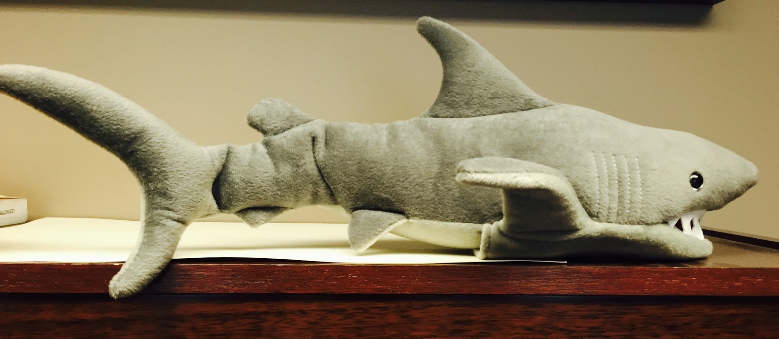 Adventures In Storytime (and Beyond): Sharks (And Other Fish) Storytime