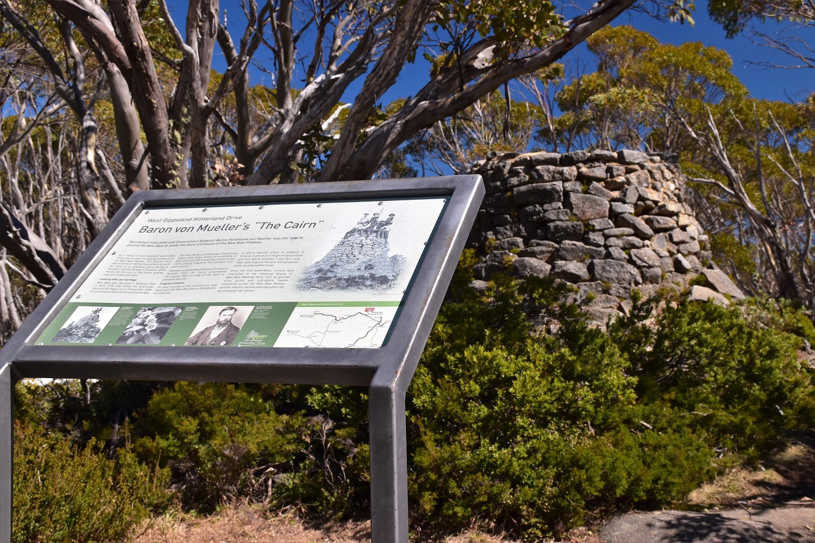 Goin' Feral One Day At A Time: Baw Baw Village Circuit, Baw Baw ...