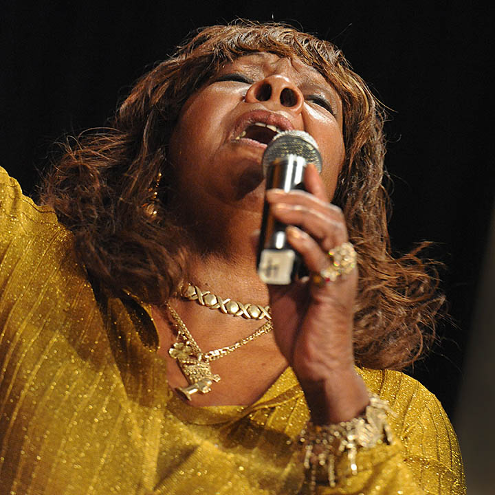 Lloyd Wolf Photographer: American Musical Royalty