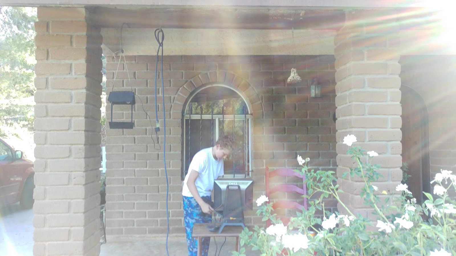 Update1: Raspberry Pi Birdfeeder Camera | Polka Dots and Protons ...