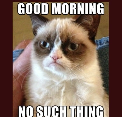 Grumpy Cat Good Morning | Funny Collection World