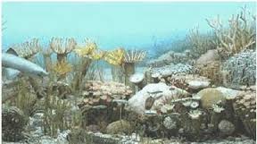 Período Silúrico ~ Historia geológica de la tierra con Arturo ANONYMOUS