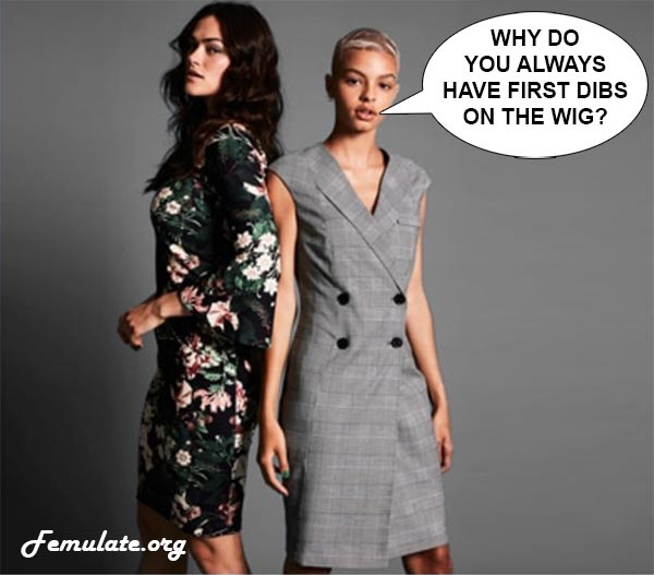 Femulate: Someday Funnies