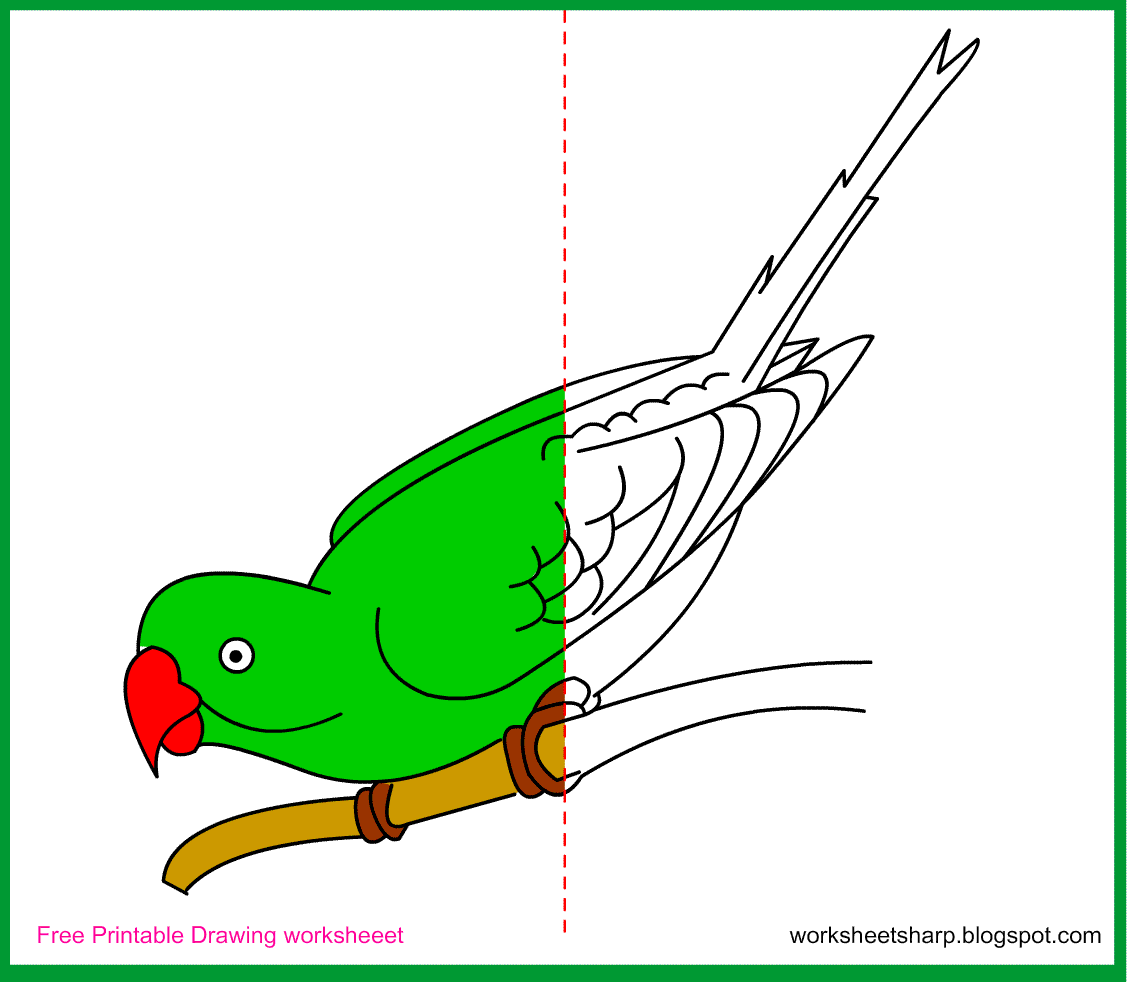 Free Drawing worksheets Printable: Bird Drawing worksheets