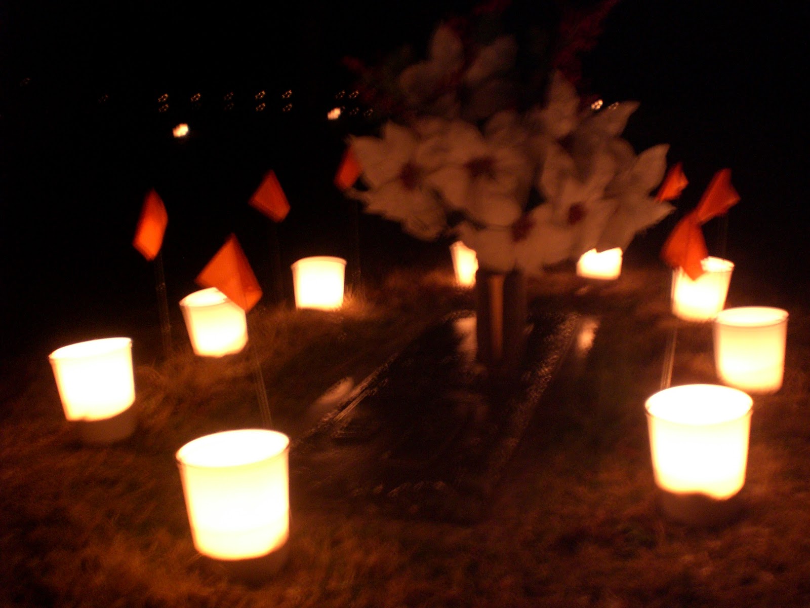 Travel NC With Kids: Rowan Memorial Park Luminaries First Saturday in ...