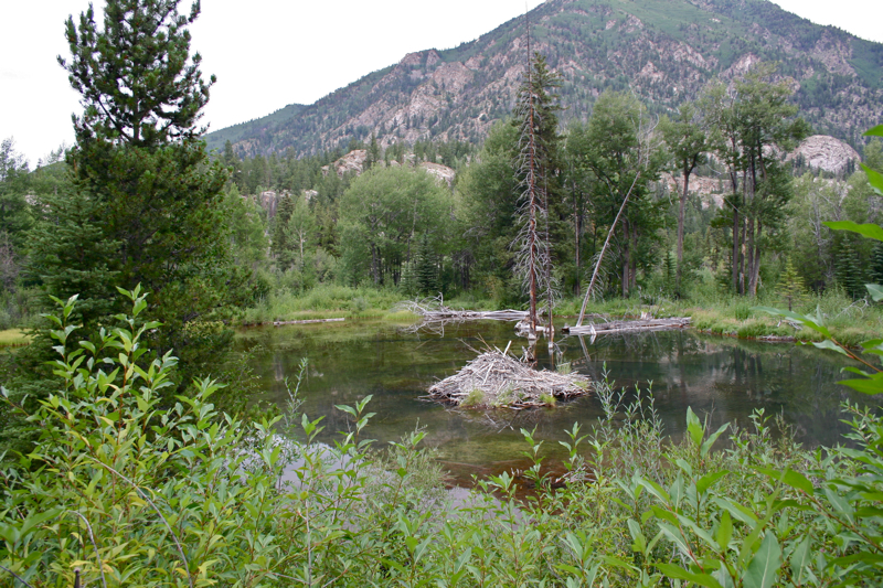 Colorado Lifestyle: Hope Pass