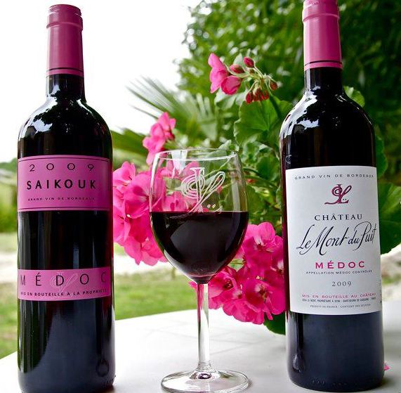 Dicas Práticas de Francês para Brasileiros: Os Melhores Vinhos Franceses