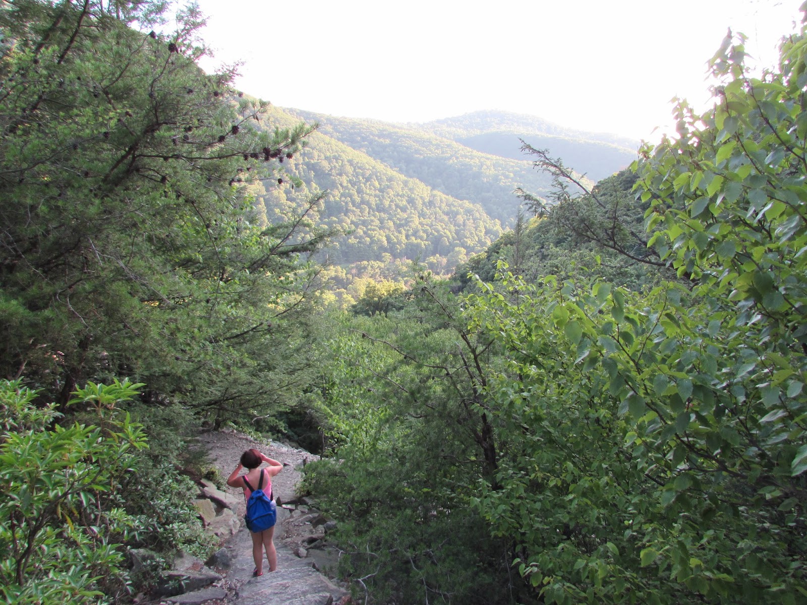 Standing Stone Trail and the Thousand Steps: Great Hike with Stunning ...