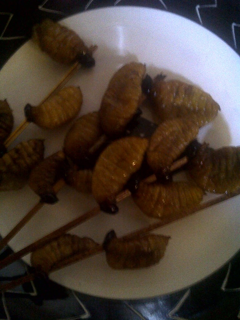 Neovo's Food Services: Edible Worms