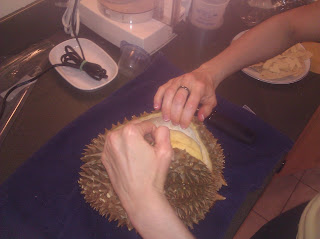 Traci Fruit: Mandolin Slicer Injury WARNING GRAPHIC!!