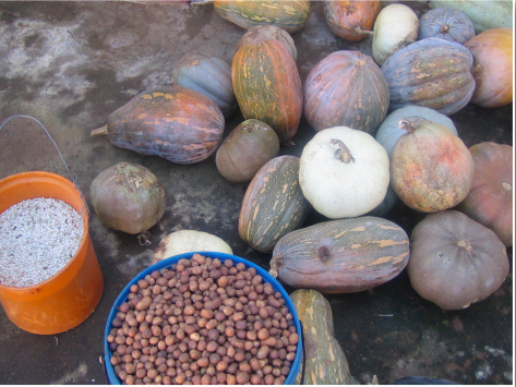 Timbuktu Chronicles: Indigenous Methods of Food and Seeds Preservation