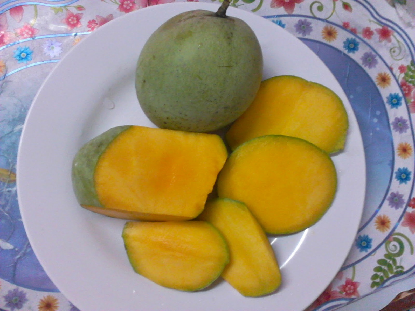 PAJERI MANGGA - Dairi Sally