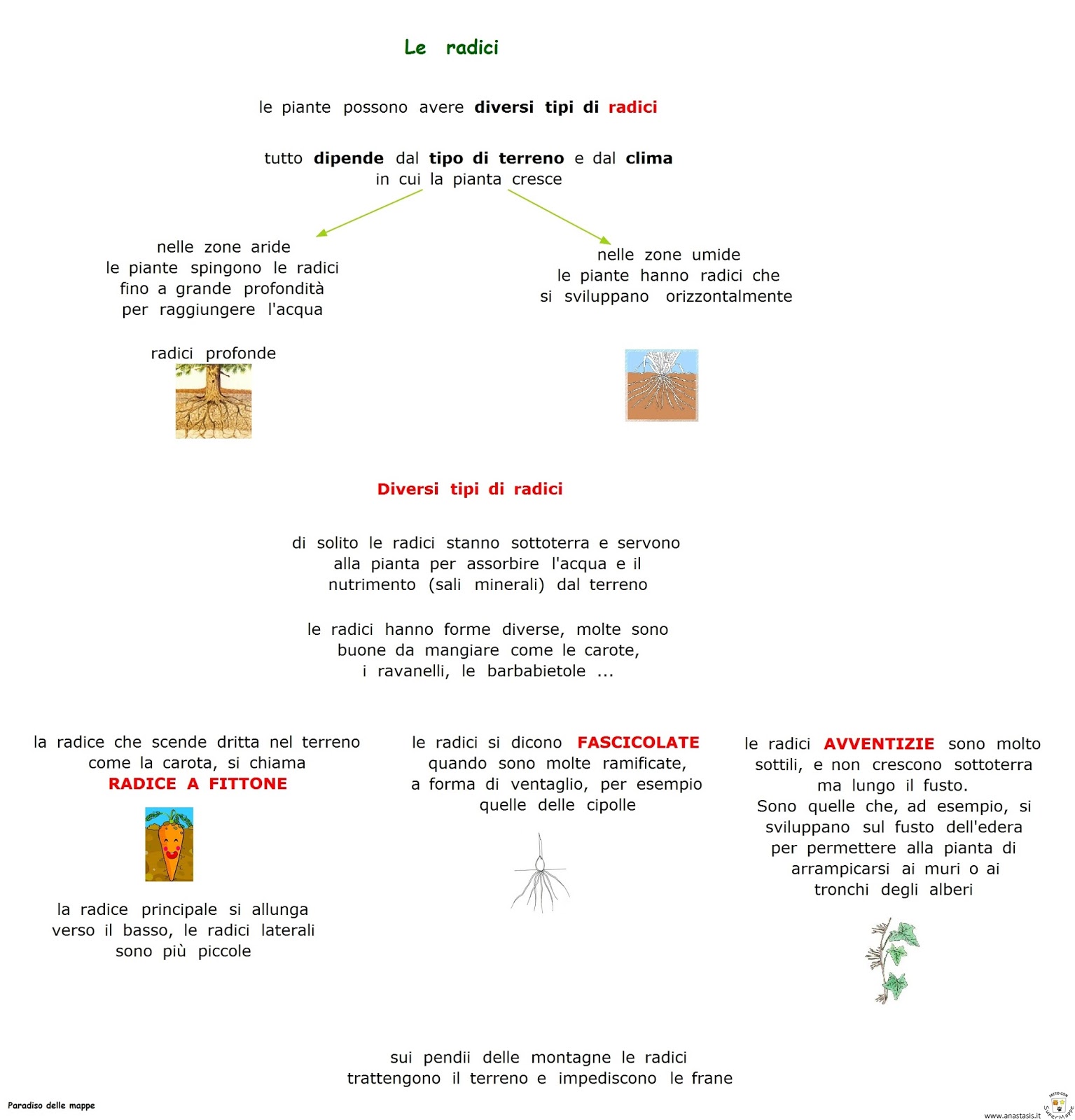 Paradiso delle mappe: Le radici