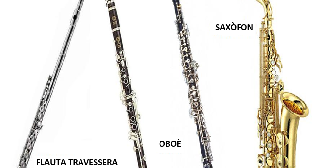 🎼🎶 EDUCA MÚSICA🎶🎼: CINQUENA LLIÇÓ - INSTRUMENTS - VENT FUSTA I VENT METALL