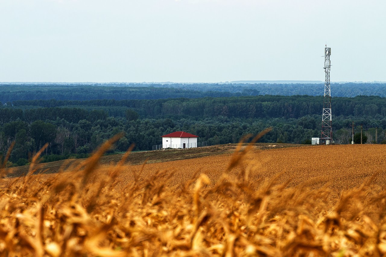 Dan Tiganila: Lacul Razim (Razelm)