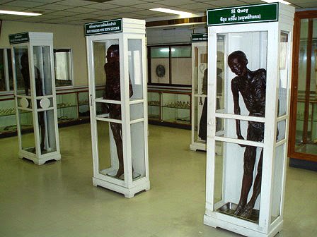 Real Life Is Horror: Siriraj Hospital and the tale of Si-Oui