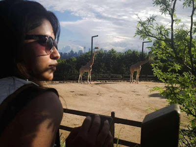 Cinesense: Amala Paul Latest Photos At Taronga Zoo In Sydney
