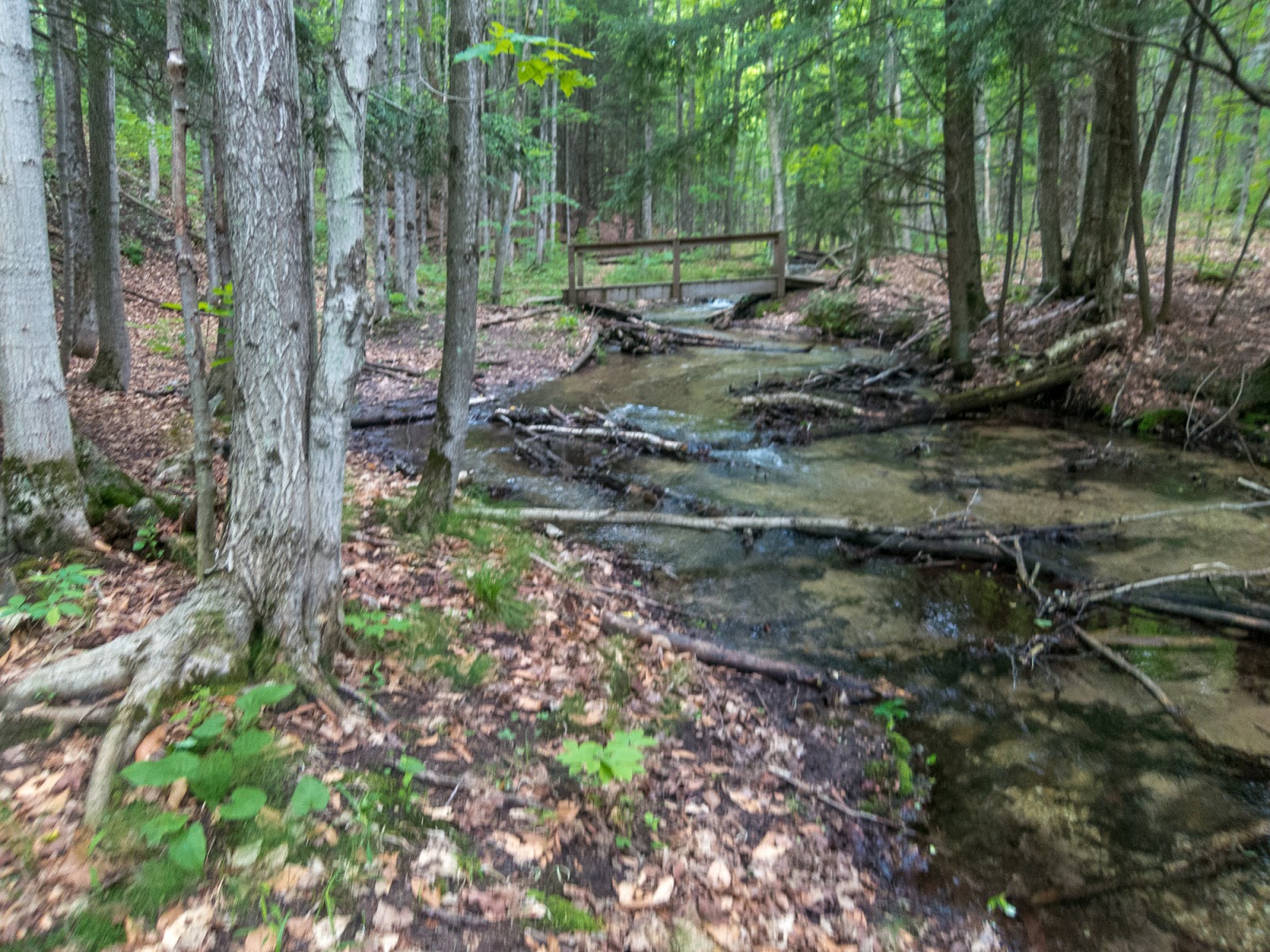 Eric's Hikes: Jordan River Pathway/NCT loop