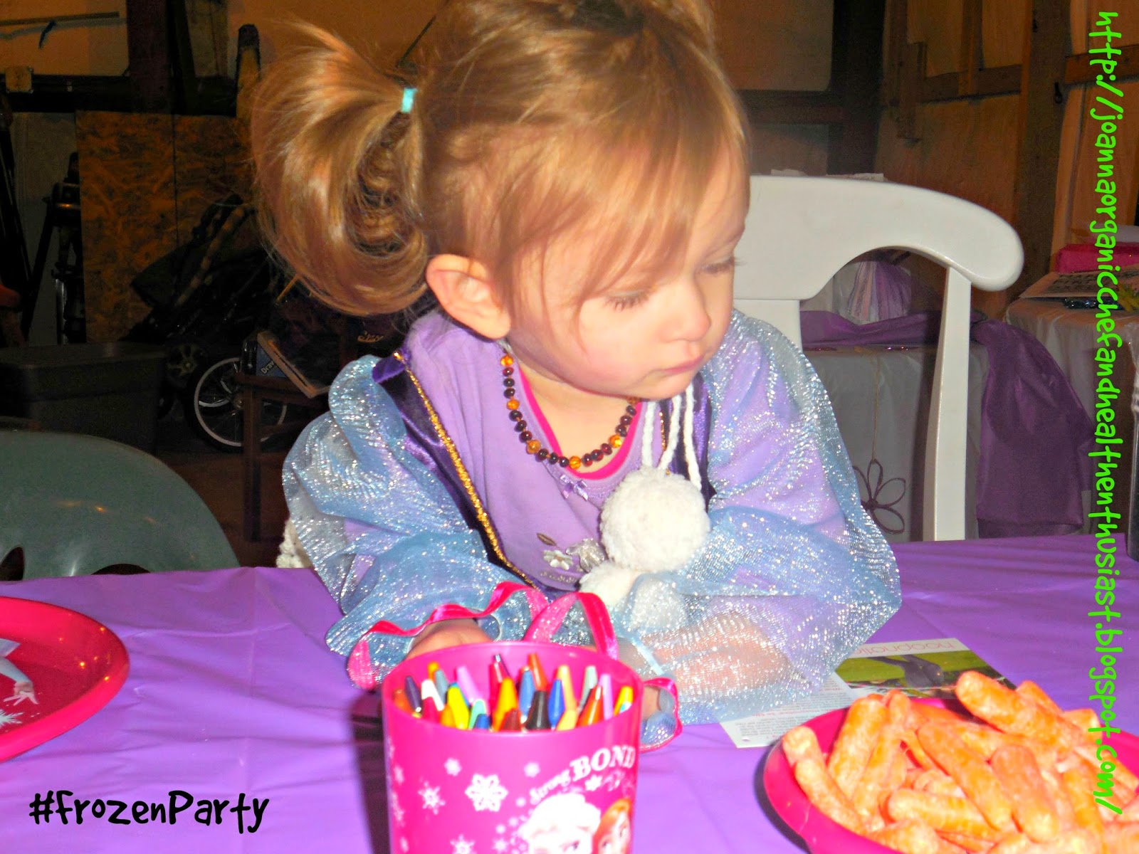 JoAnna: GlutenFree Chef and Health Enthusiast: Gabby 's Frozen Party ...