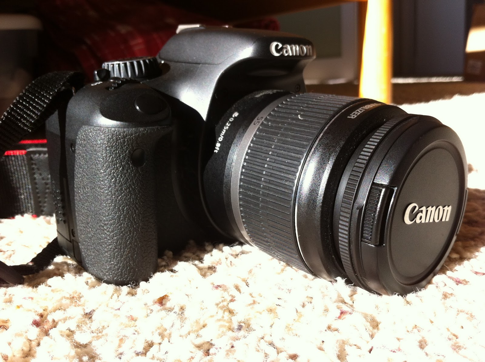 Live, Love, Laugh . . . and blog?: Dropbox & Your Fancy Camera Pics ...