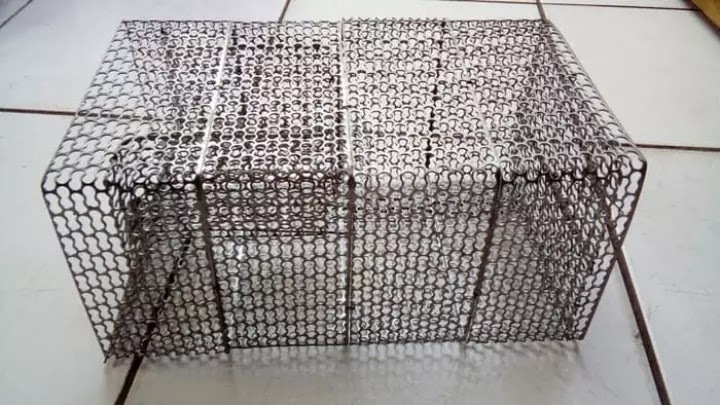 Aneka Macam Pembasmi dan Perangkap Tikus, Kelebihan dan Kekurangannya