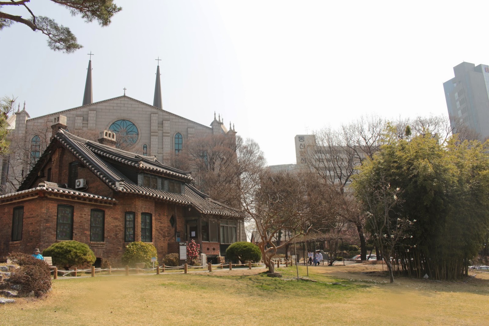 ‘Cheongna Unduk’(Cheongna Hill), Daegu Tour with a Korean Culture ...