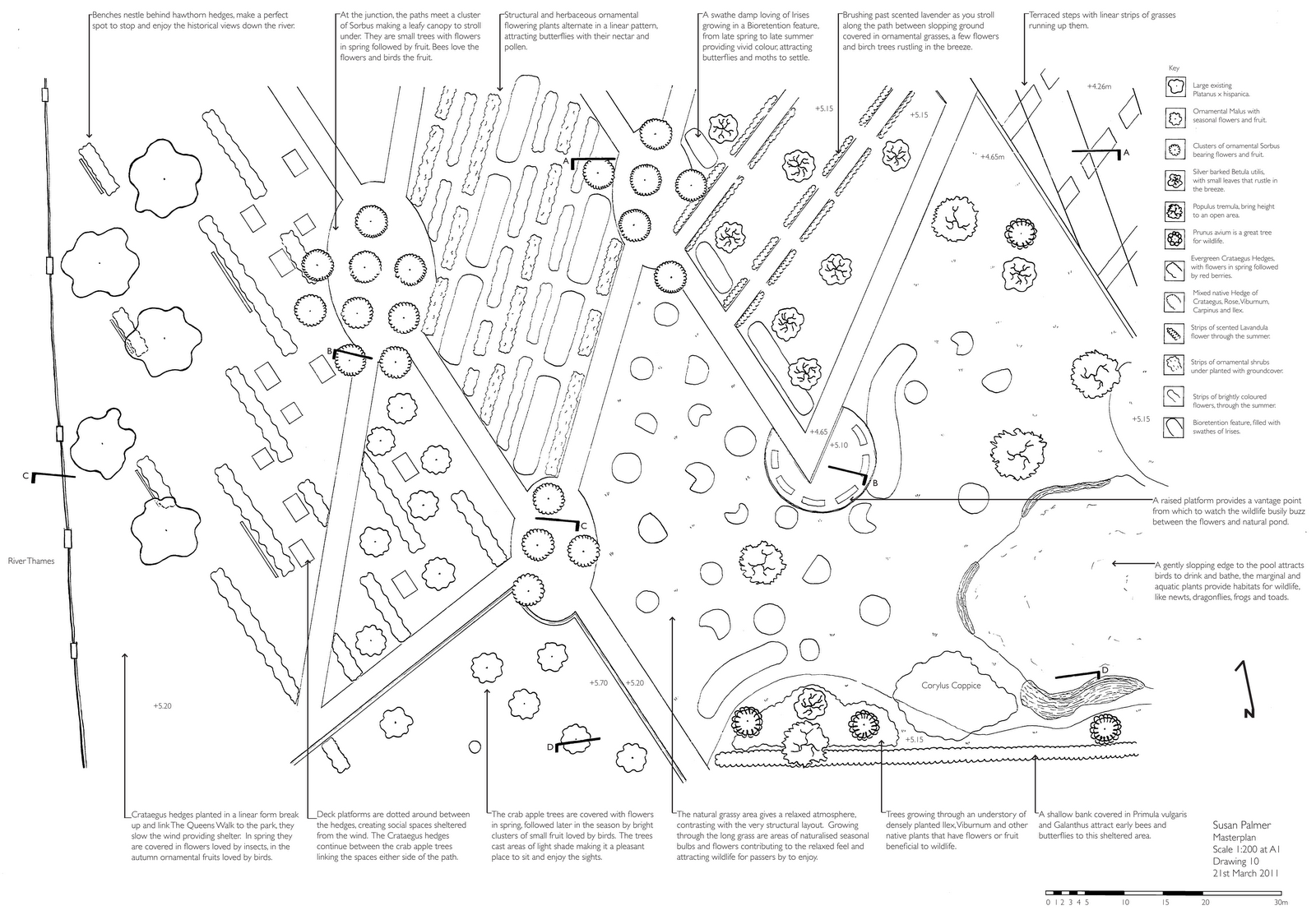 S U S A N S G R E E N G A R D E N